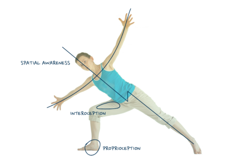 Baseworks - 3 Types of Body Awareness