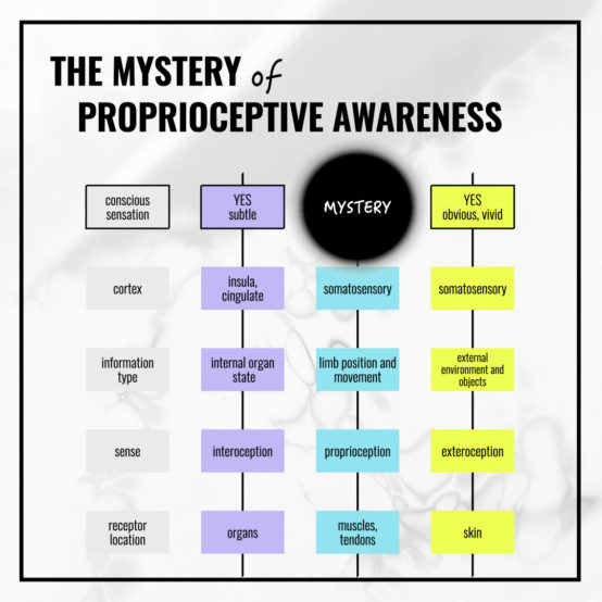 The Mystery of Proprioceptive Awareness – Baseworks