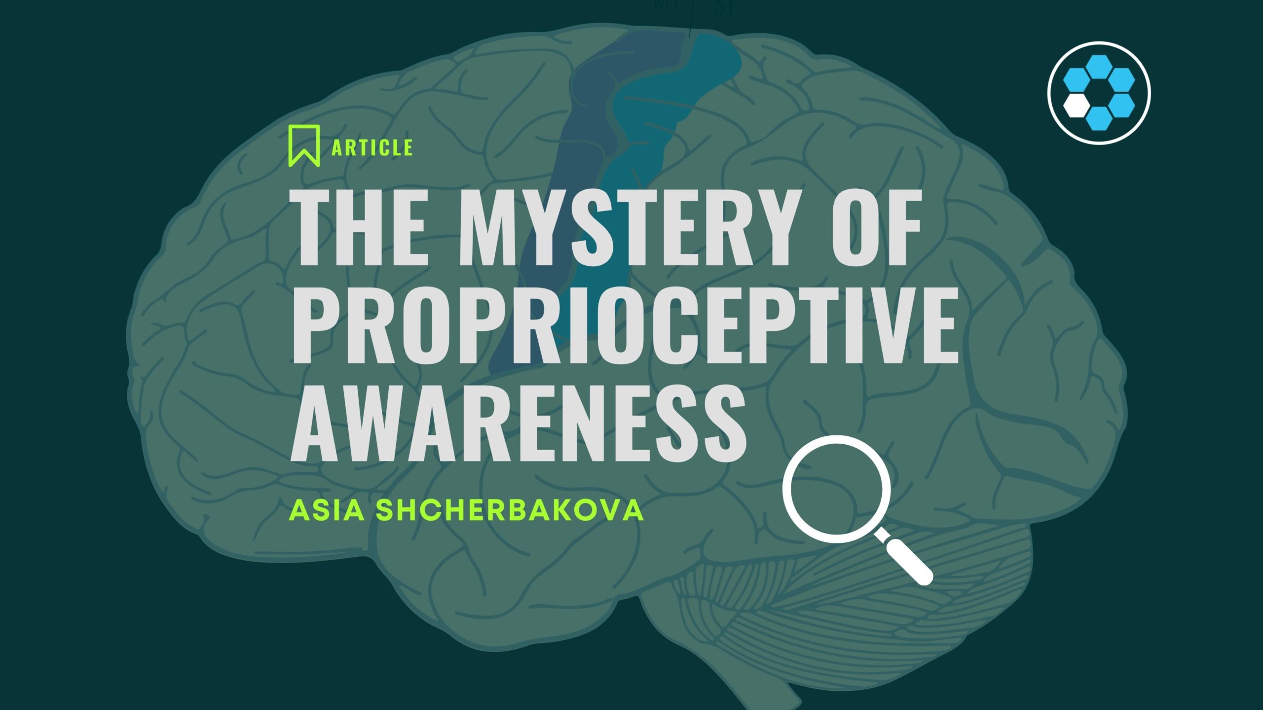 The Mystery of Proprioceptive Awareness – Baseworks